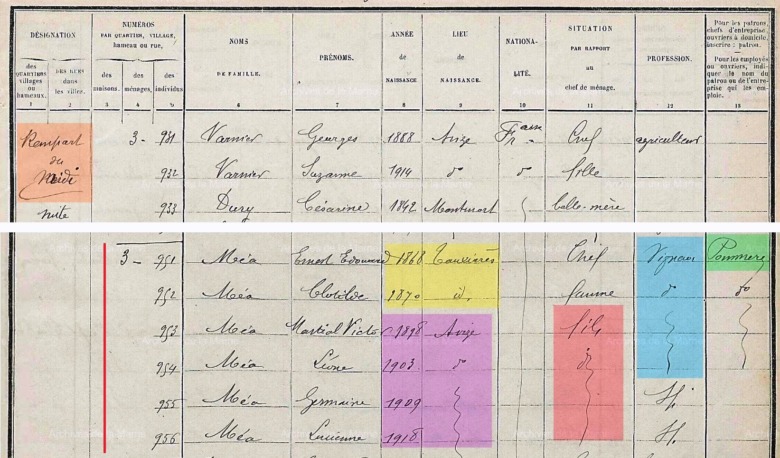 How to use French census records