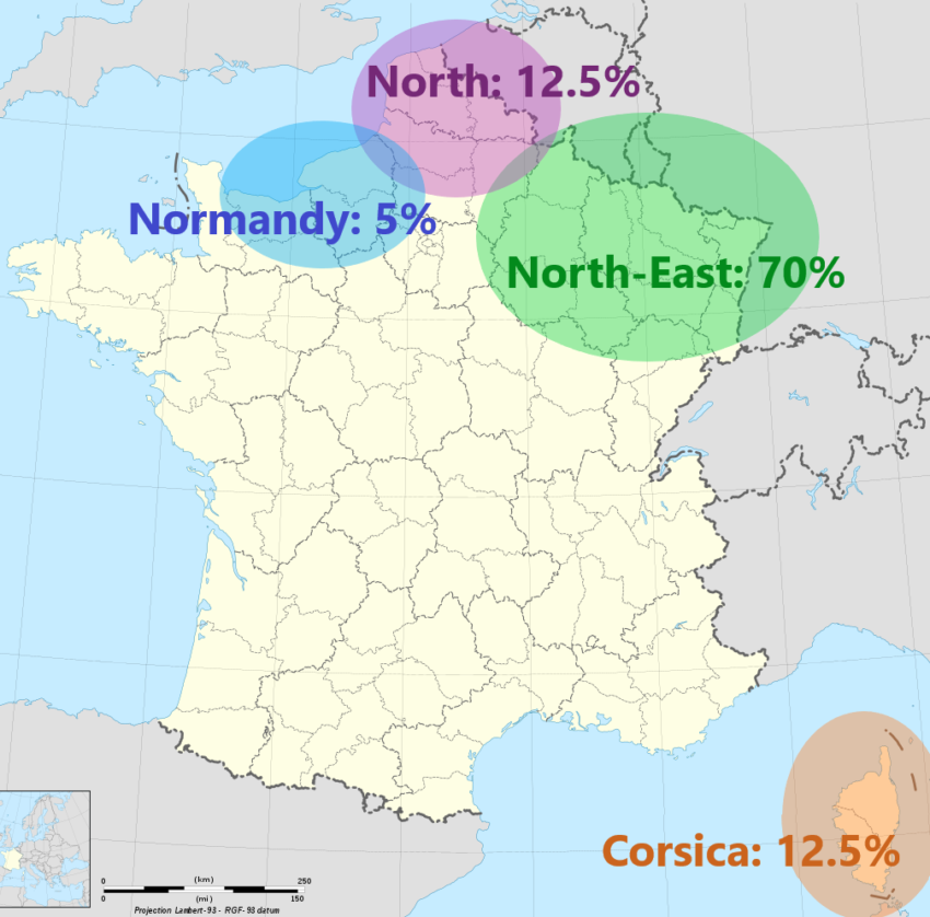 What French DNA looks like
