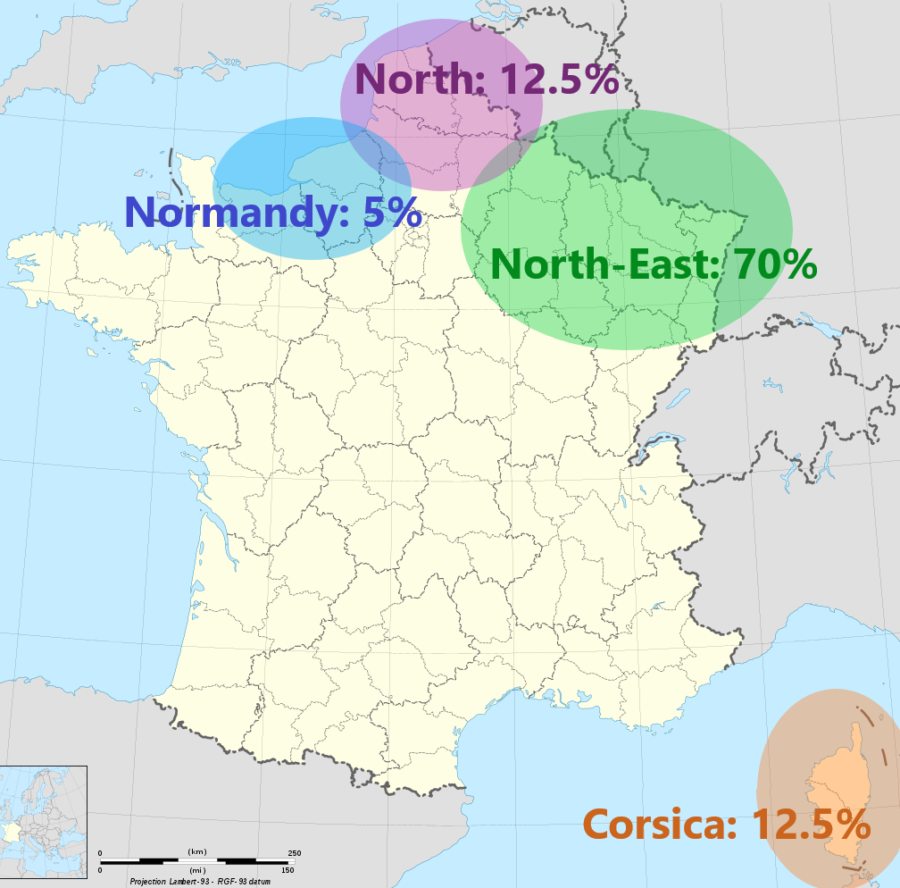 What French DNA looks like